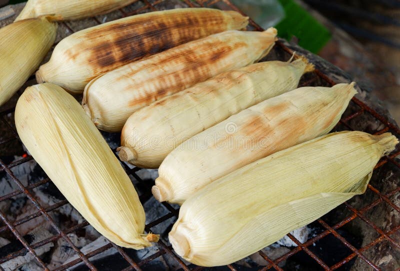 Corn grill corn burn stock image. Image of sweet, lunch - 96057879