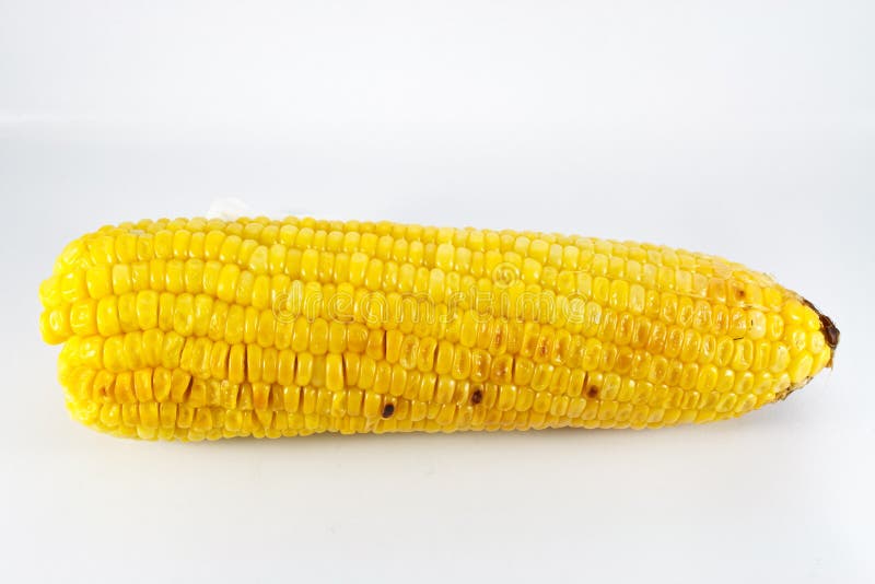 Corn stock image. Image of healthy, ingredient, agriculture - 30845093