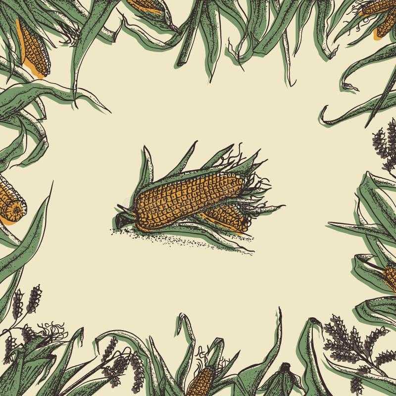 Corn Floral Frame with Corn Leaves and Cobs Stock Vector - Illustration ...