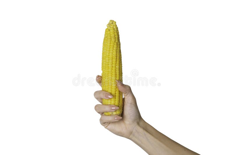Corn in Hand Path Isolated on White Stock Photo - Image of vegetarian ...