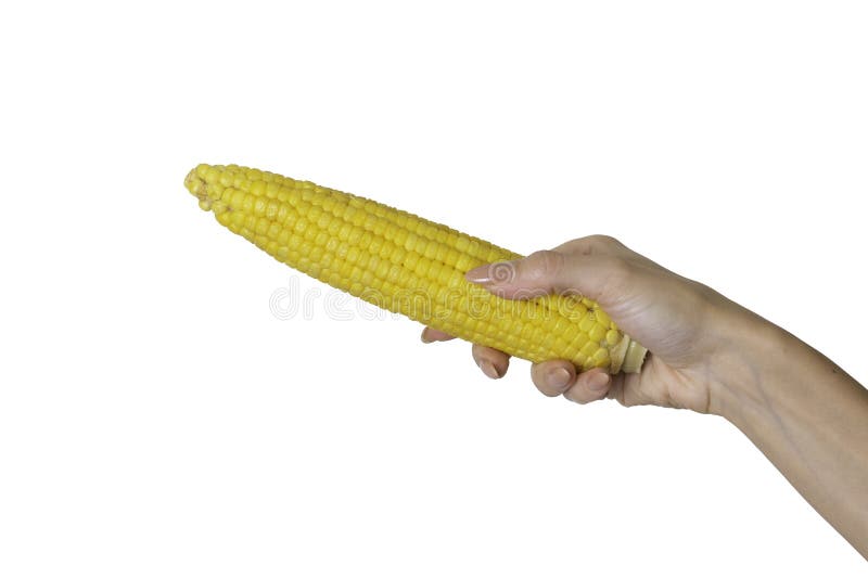 Corn in Hand Path Isolated on White Stock Image - Image of food, yellow ...