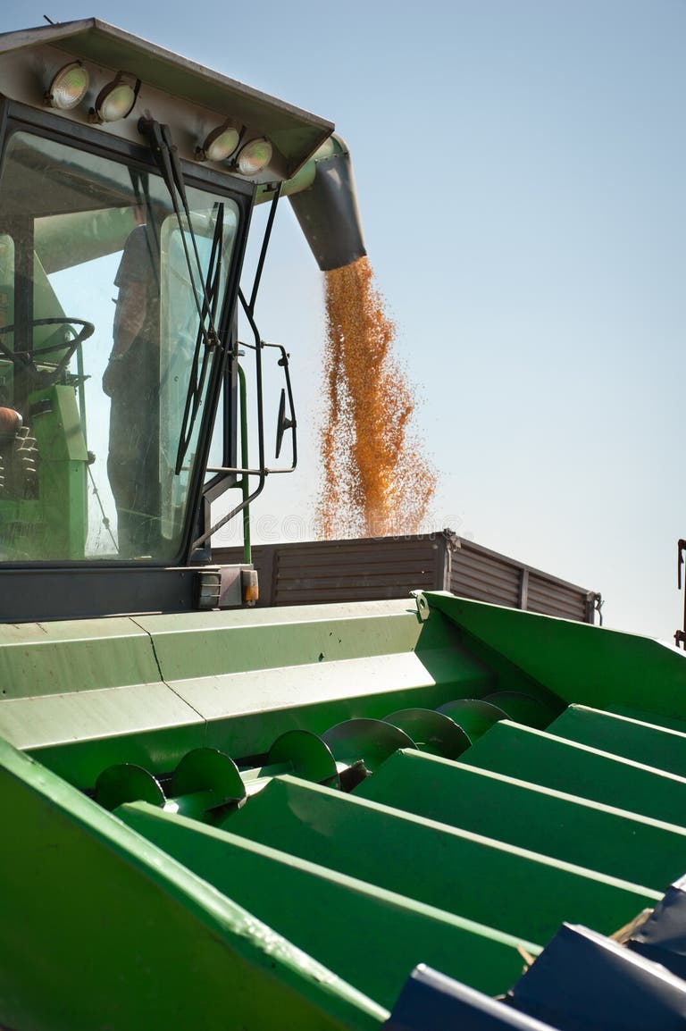 197 Corn Harvest Grains Unloading Stock Photos - Free & Royalty-Free ...