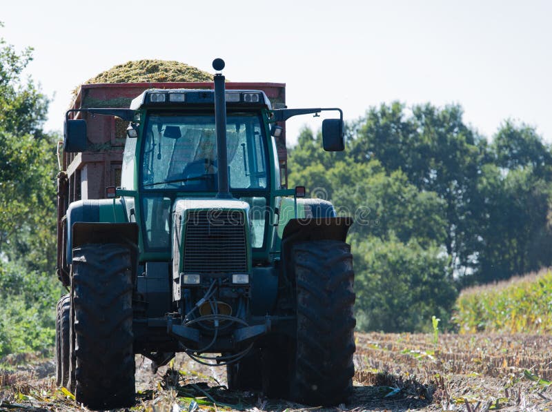 Corn Harvest, Corn Forage Harvester in Action, Harvest Truck with ...