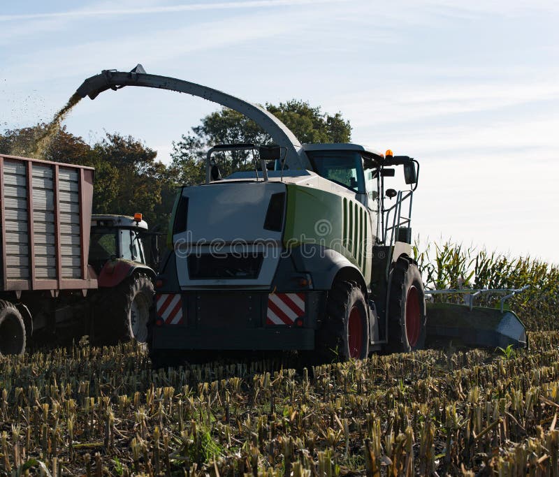 Corn Harvest, Corn Forage Harvester in Action, Harvest Truck with ...