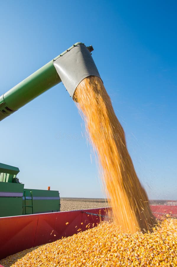 248 Corn Hopper Stock Photos - Free & Royalty-Free Stock Photos from ...