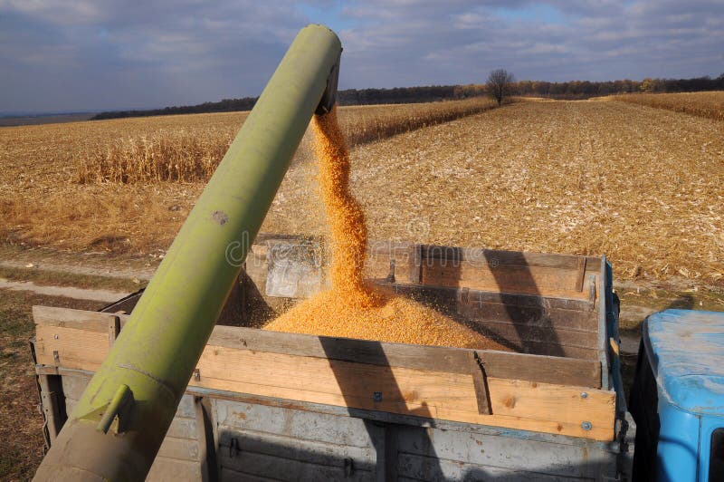 113 Grain Hopper Corn Field Photos - Free & Royalty-Free Stock Photos ...