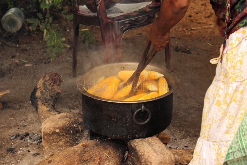Corn on a hot pot stock image. Image of golden, kernel - 152897999