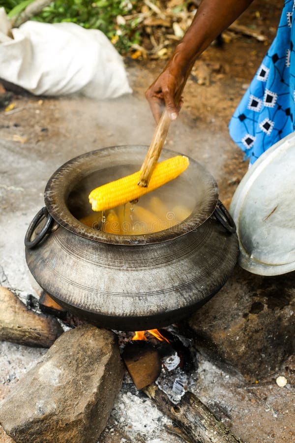 Corn on a hot pot stock photo. Image of grain, harvest - 200971580