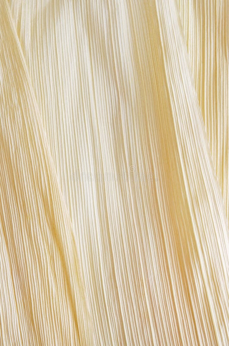 4,263 Corn Husk Texture Stock Photos - Free & Royalty-Free Stock Photos ...