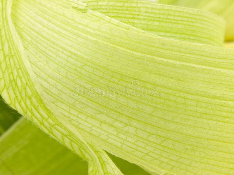 Corn husk doll stock image. Image of craftwork, crafts - 9953031
