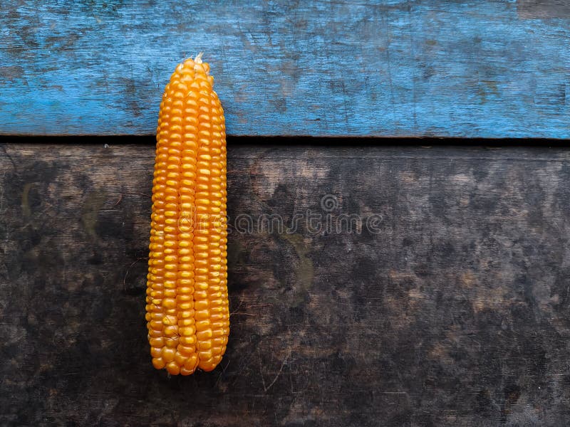 Corn without Husks on a Wooden Table Stock Photo - Image of diatas ...