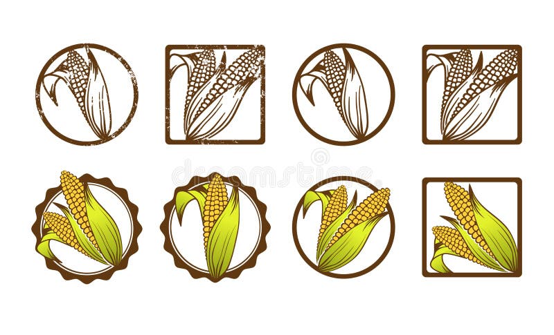 Corn Icon Set stock vector. Illustration of leaf, plant - 77020460
