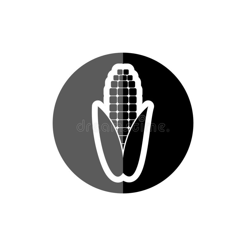 Corn Icon, Corn Icons And Symbols, Color Icon With Long Shadow Stock ...