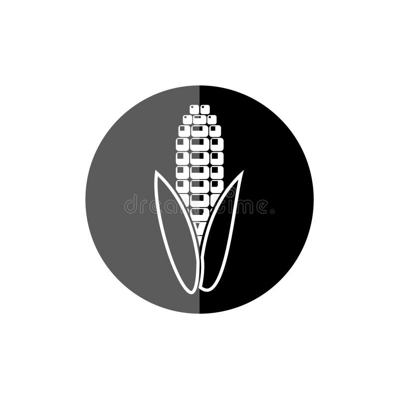 Corn Icon, Corn Icons and Symbols, Color Icon with Long Shadow Stock ...