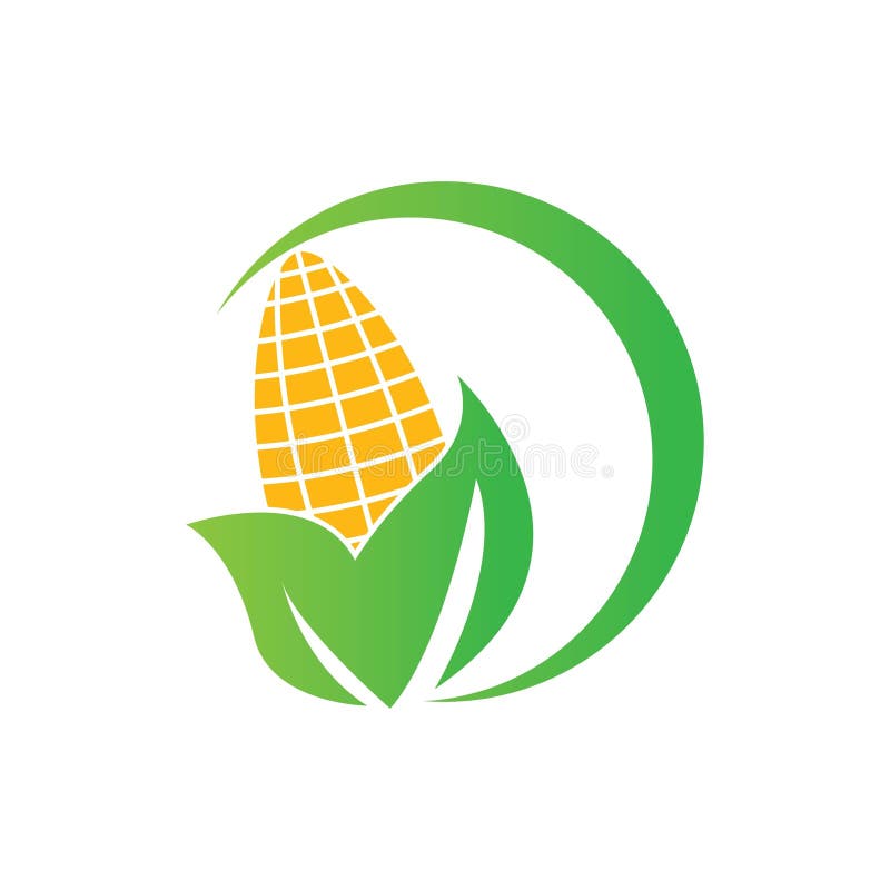 Corn Icon Vector Illustration Logo Design Stock Vector - Illustration ...