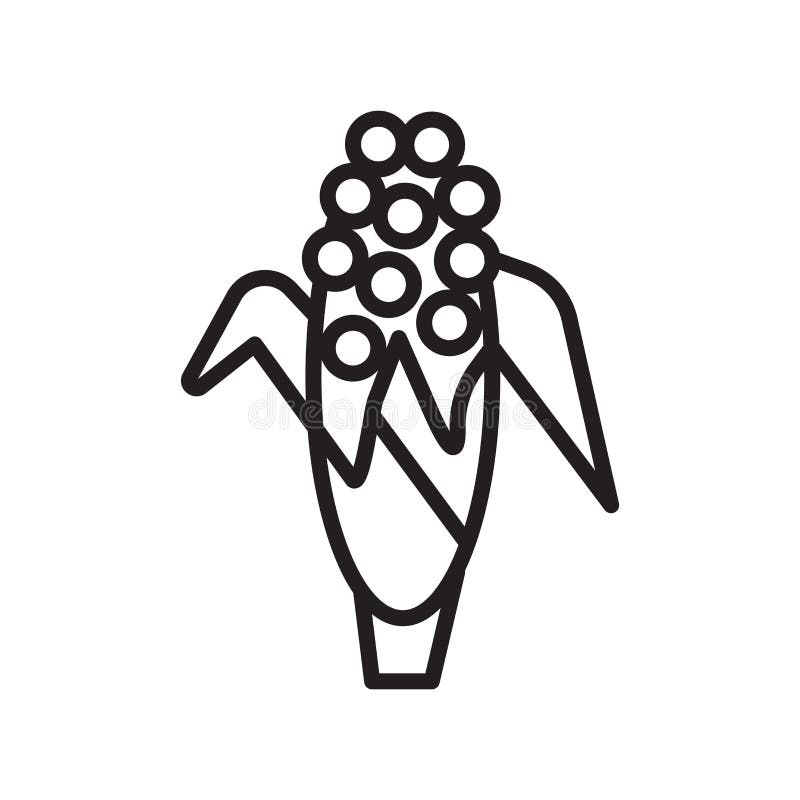 Corn Icon Vector Isolated on White Background, Corn Sign , Linear ...