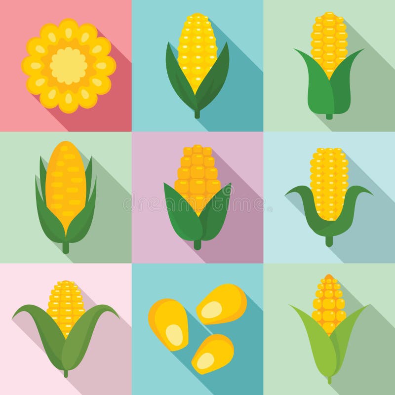 Corn icons set, flat style stock vector. Illustration of cornfield ...