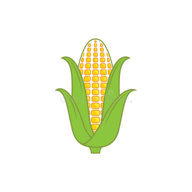 Corn illustration vector stock vector. Illustration of design - 311249512