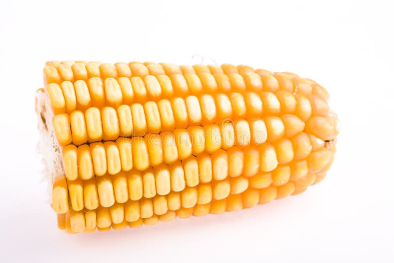 Corn isolated stock photo. Image of vegetarian, isolated - 7567426