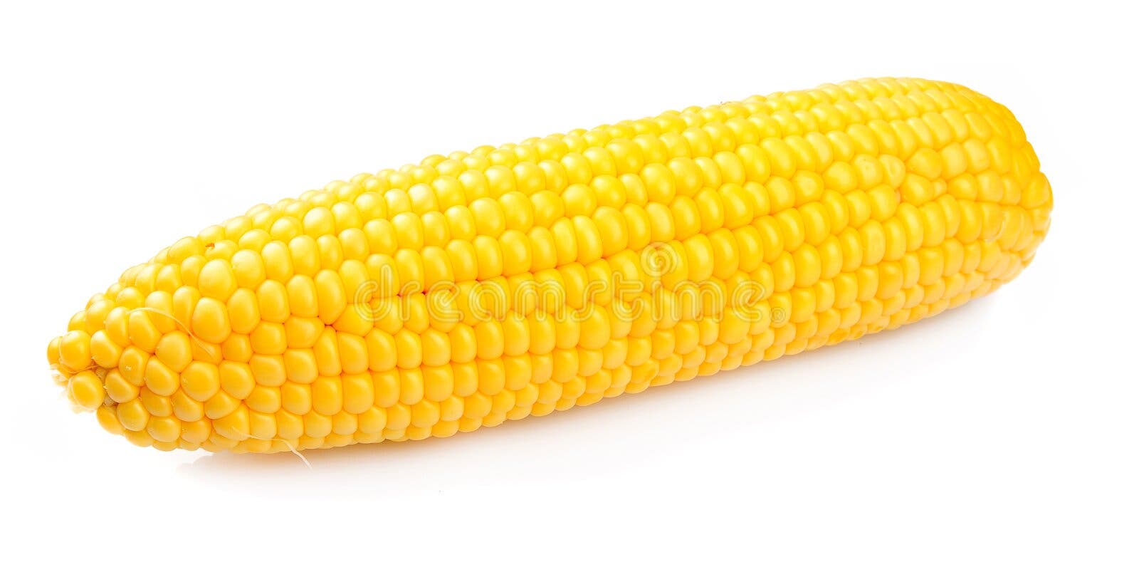 Corn isolated stock photo. Image of food, grain, maize - 32126654