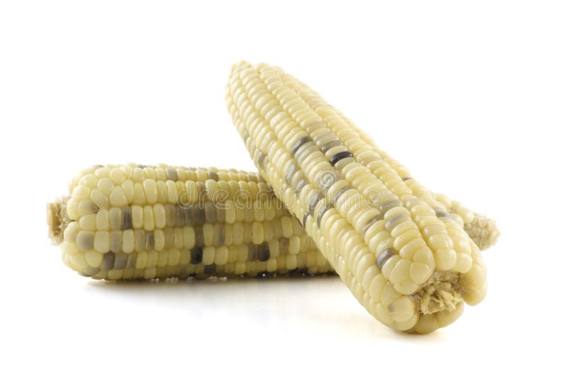 Corn Isolated on White Background Stock Image - Image of health ...