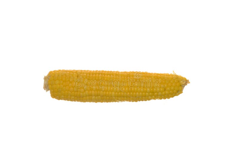 Corn Isolated on a White Background Stock Image - Image of green, grain ...