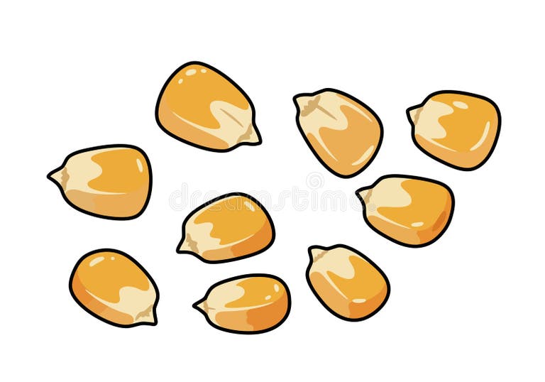 Corn kernel clipart stock vector. Illustration of clipart - 368151233