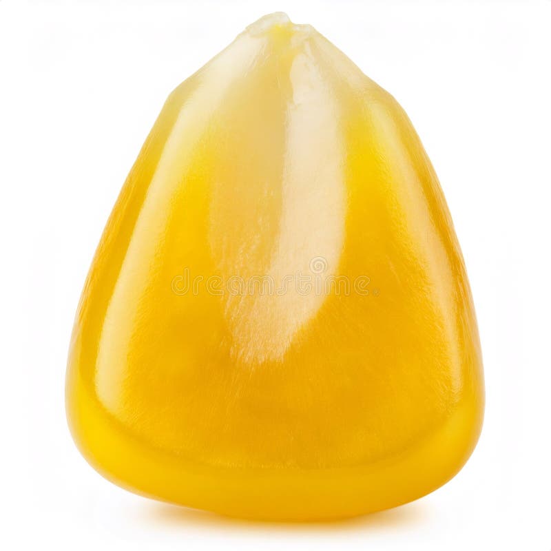 Corn Kernel Isolated on White, Showcasing Detailed Texture and Golden ...