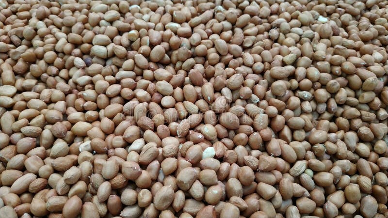 Corn Kernels and Beans at Groceries Stock Photo - Image of corn ...