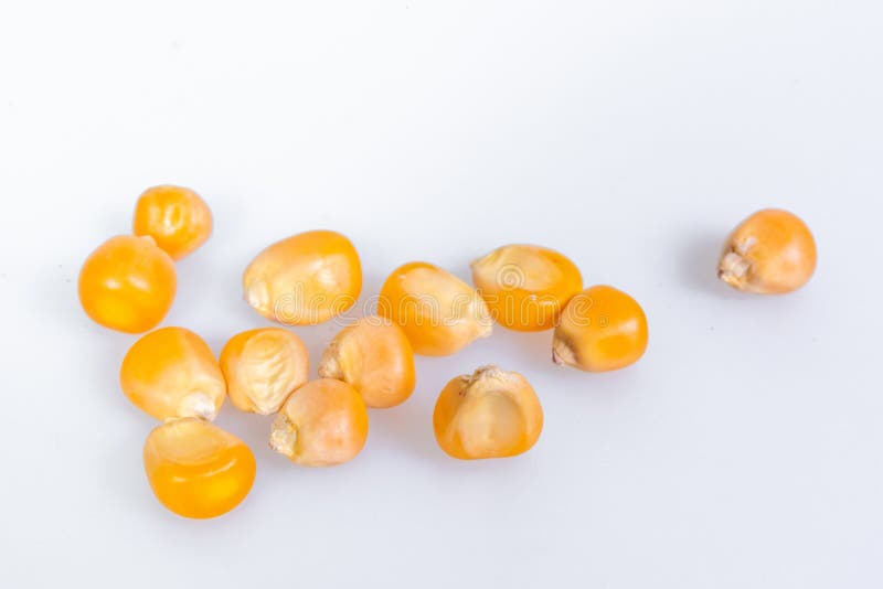 Corn Kernels : Close-up of Organic Yellow Corn Seed, Dried Corn Kernels ...