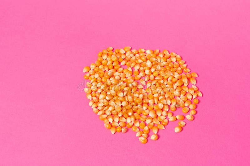 Corn and Popcorn Grains in Two Rows on a Black Background. Stock Photo ...