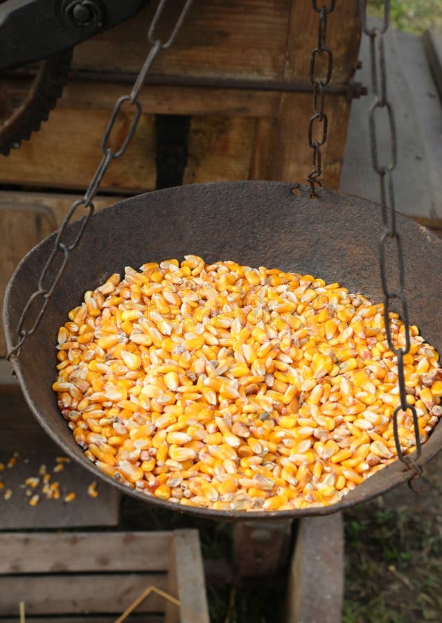 Corn Kernels on an Old Rusty Scale Stock Image - Image of commerce ...
