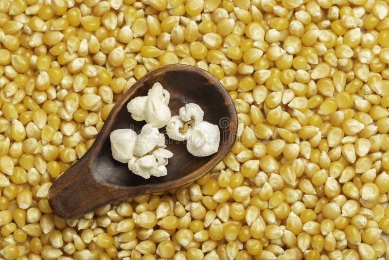 Corn Kernels for Popcorn, in the Wooden Spoon Stock Image - Image of ...