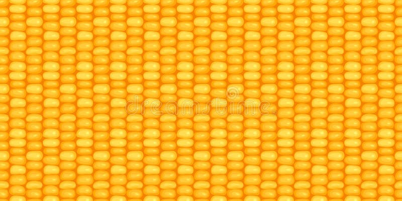 Corn Kernels, Seeds, Grains, Texture Seamless Pattern Design. Fresh ...
