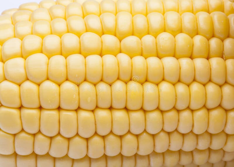 Corn kernels stock photo. Image of bowl, strawberry, textures - 96952066