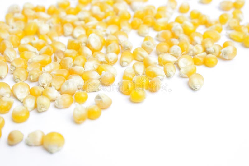 Corn kernels stock image. Image of food, medium, crop - 46122791