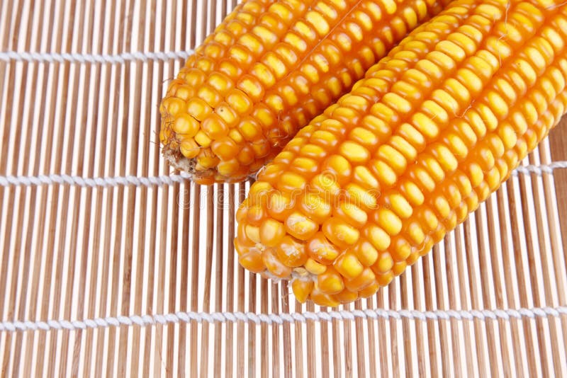 Corn stock image. Image of agrarian, food, nature, sweetcorn - 50316747