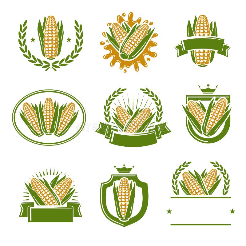Corn Label and Element Set. Collection Icon Corn Stock Vector ...