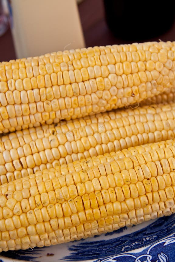 Corn laying on a plate stock image. Image of food, vegetable - 14924335
