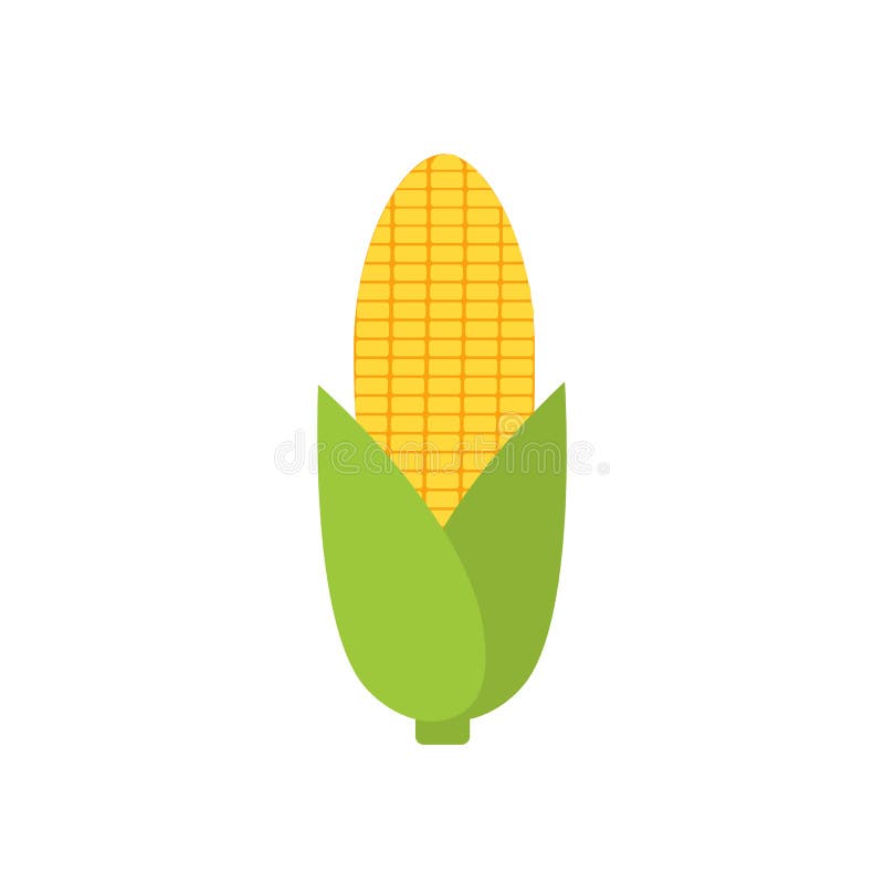 Corn with Leaves, Abstract Illustration. Vector Object. Simple Flat ...