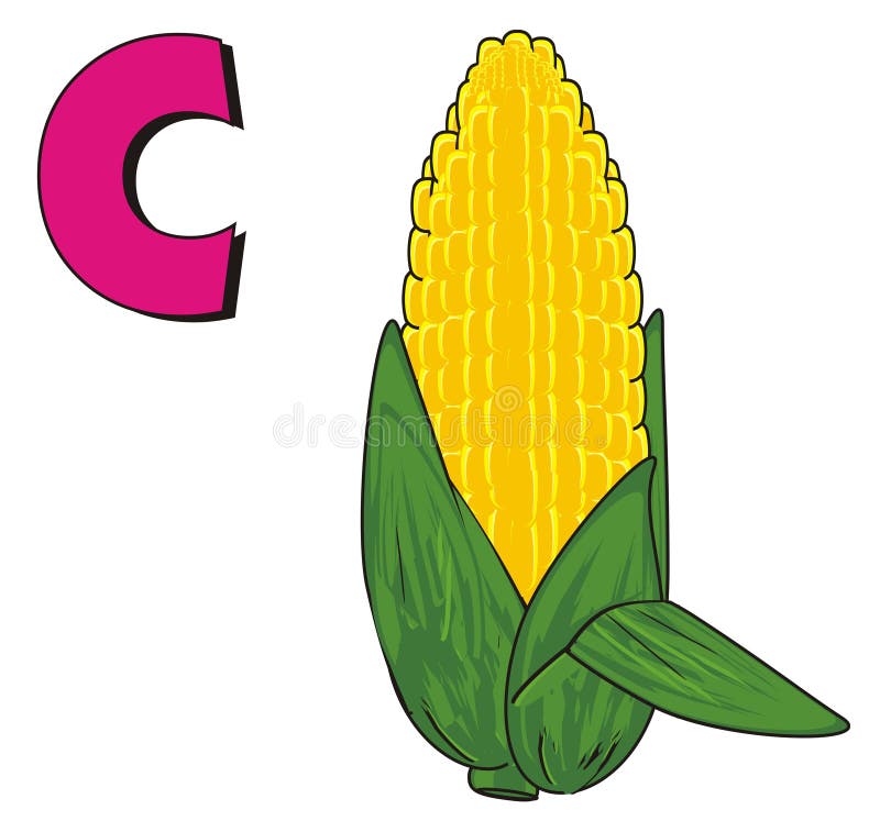 Corn with letter stock illustration. Illustration of symbol - 90225465