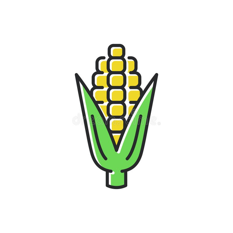 Corn Line Color Icon. Ear of Corn Vector Symbol Stock Vector ...