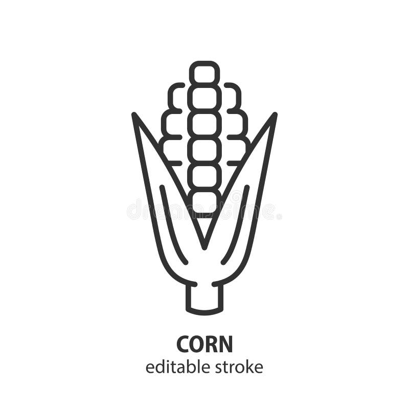 Corn Line Icon. Ear of Corn Vector Symbol Stock Vector - Illustration ...