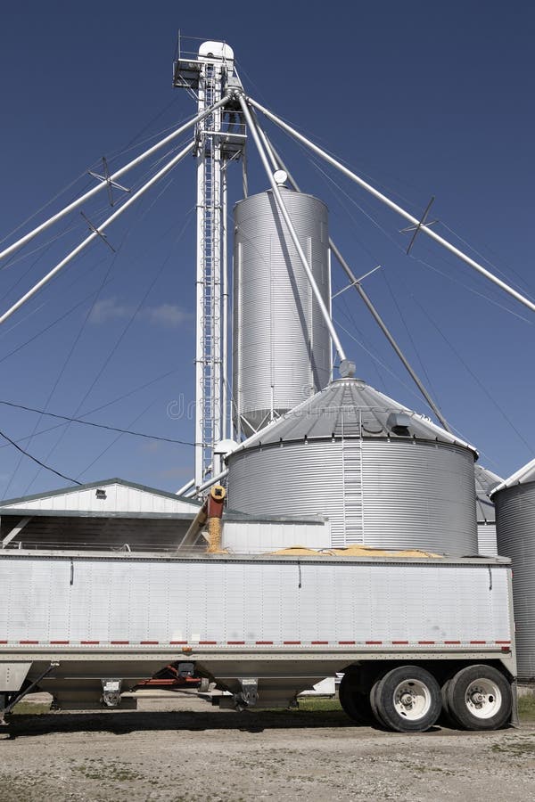 Corn Loading Onto a Truck. after Harvest, Corn from Grain Bins Loads ...