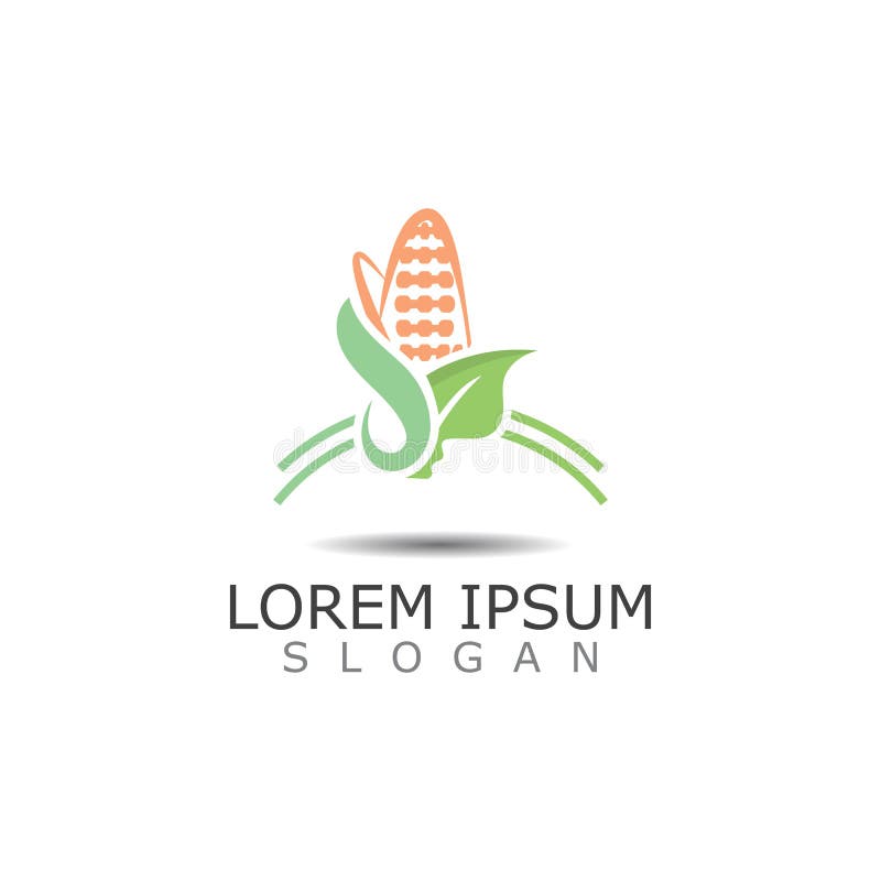 Corn Logo Design, Theme,farming Template Nature Illustration Stock ...