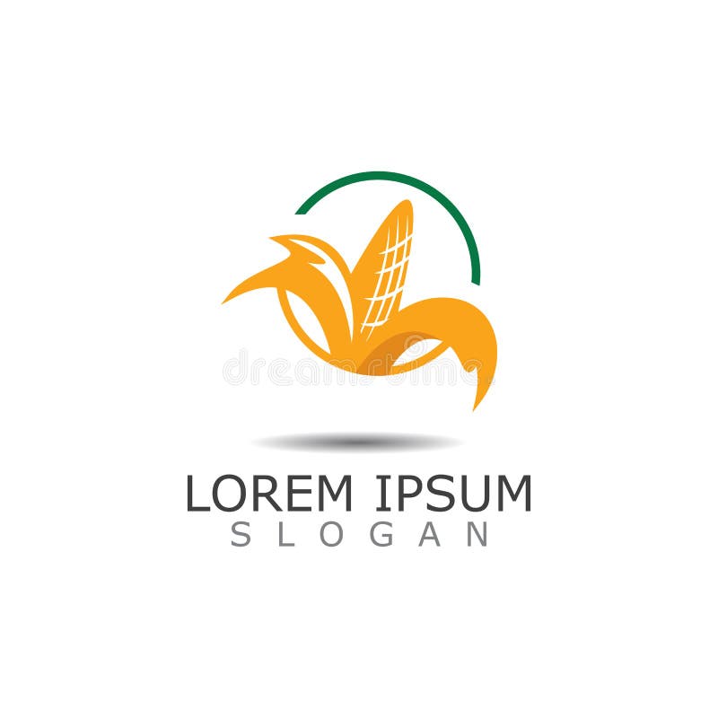 Corn Logo Design, Theme,farming Template Nature Illustration Stock ...
