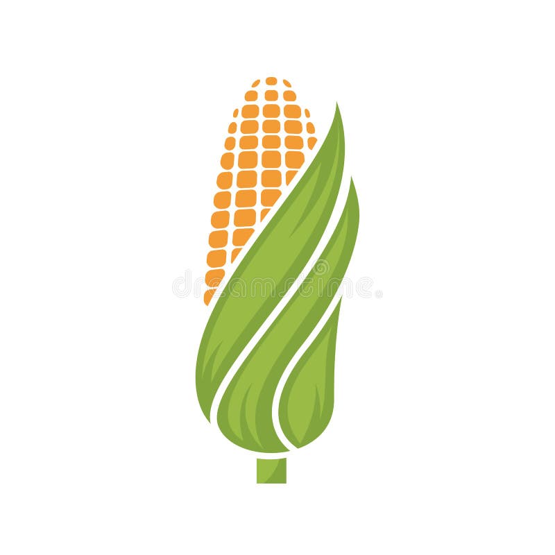 Corn Logo Illustration Vector Stock Vector - Illustration of ingredient ...