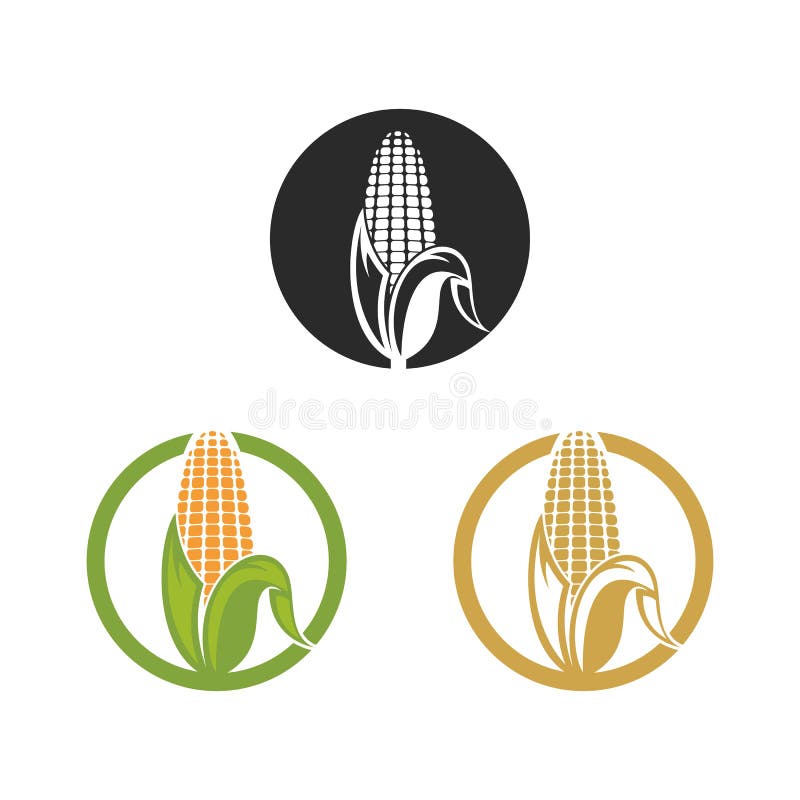 Corn Logo Illustration Vector Stock Vector - Illustration of logo ...