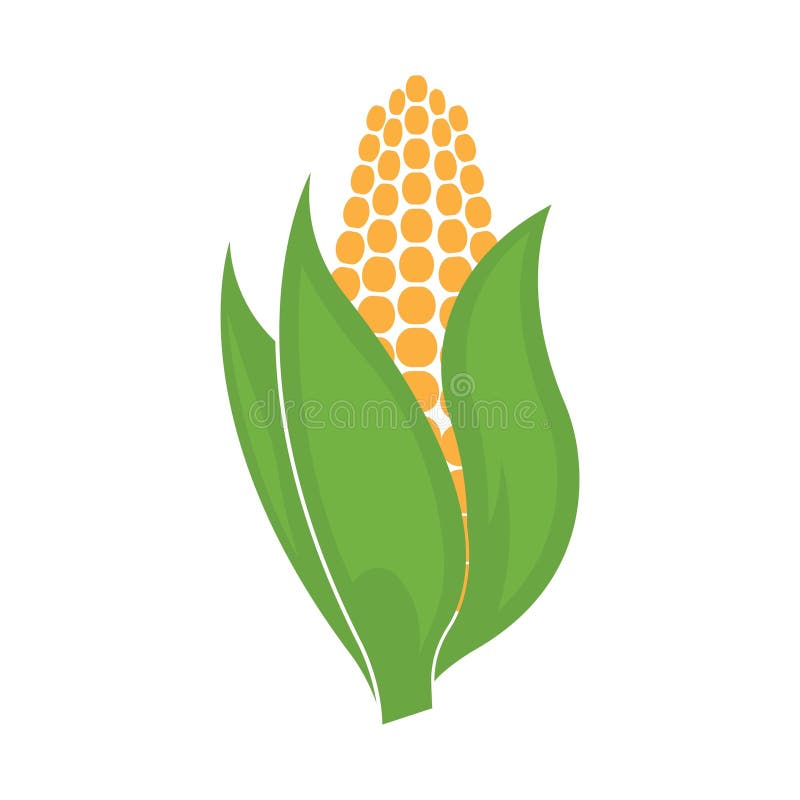 Corn Logo Illustration Vector Flat Design Stock Illustration ...
