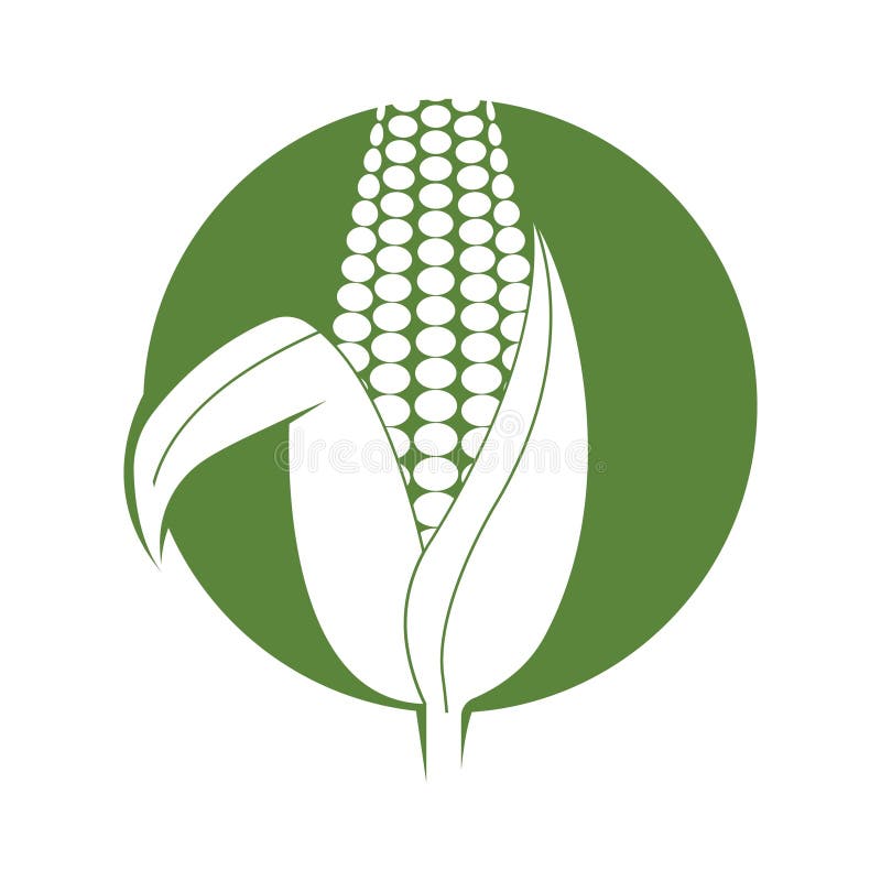 Corn Logo Illustration Vector Flat Design Stock Illustration ...